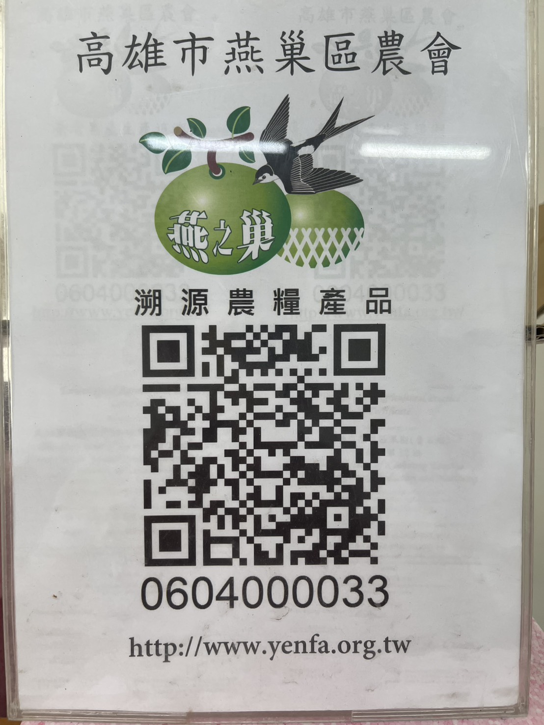 燕巢農會嚴選-外銷等級-珍珠芭樂5斤 ± 5% -每盒約6-8粒裝 - 農雄好一攏相好 - i郵購-Postmall